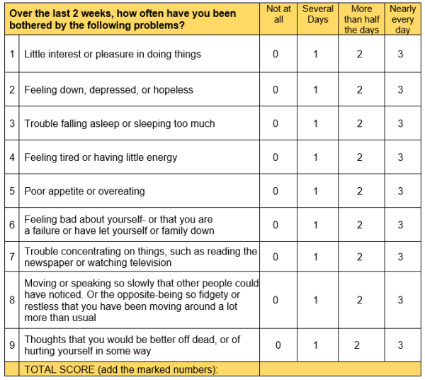 Best PHQ 9 Scoring Assessment Guide Top 2024 Patient Health